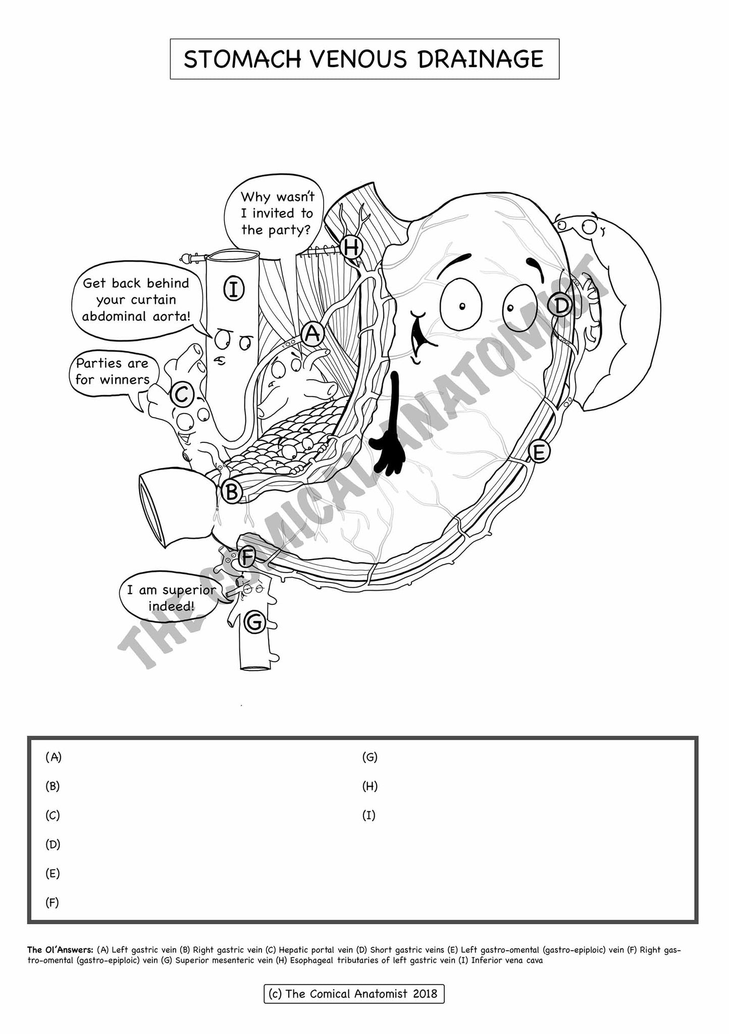 Digestive System Coloring Book (Digital Download) | The Comical ...