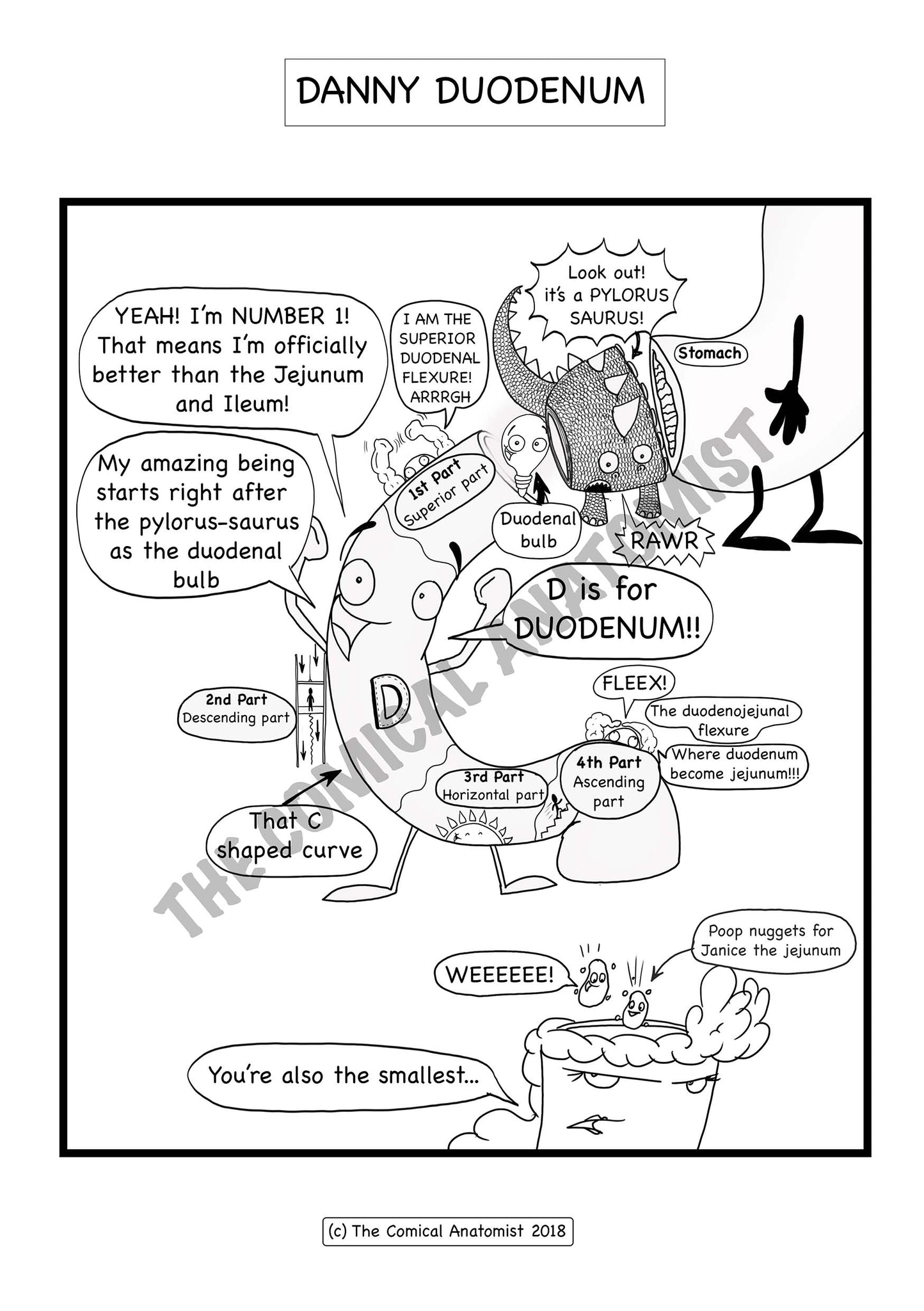 Digestive System Coloring Book (Digital Download) | The Comical ...