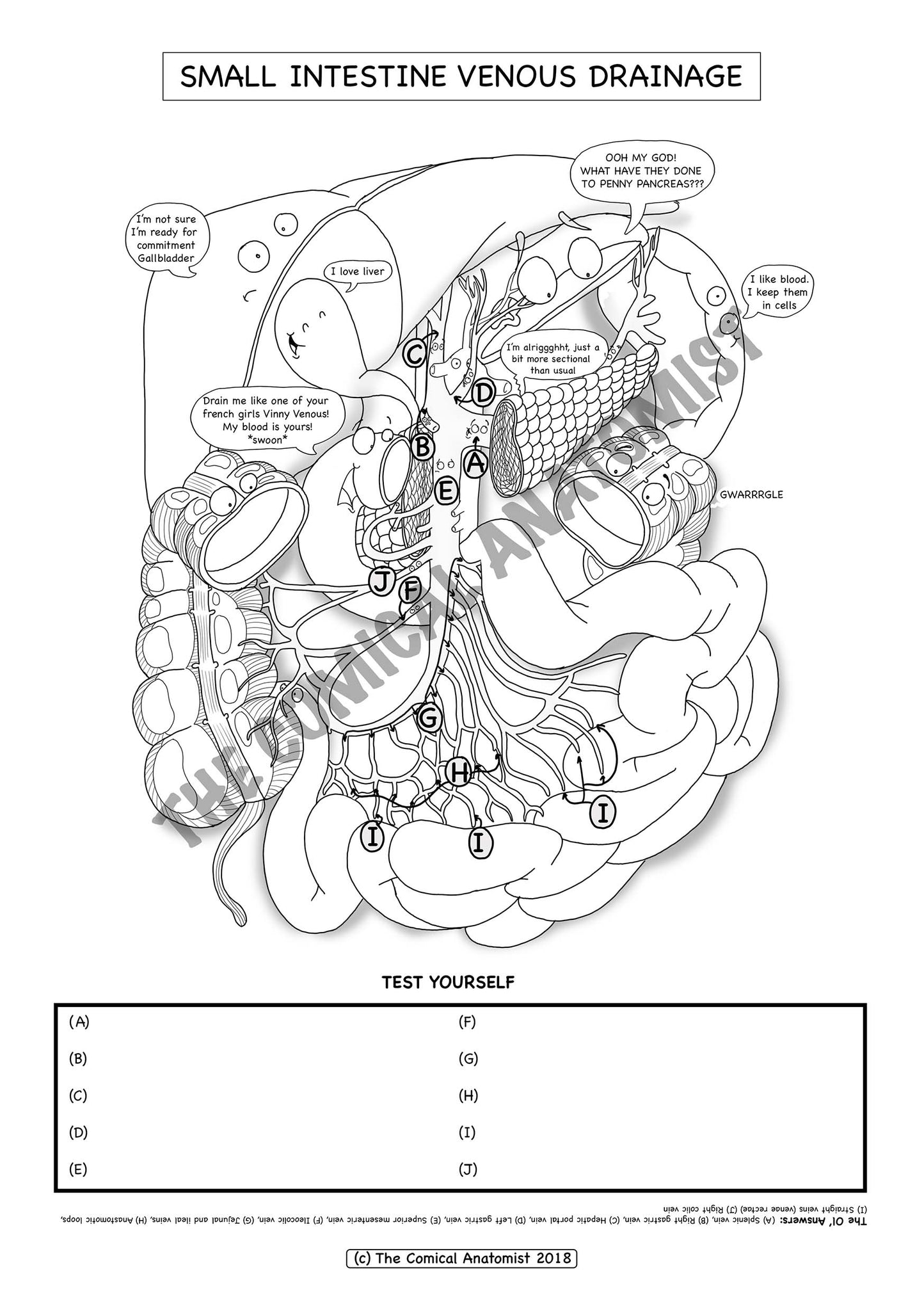 Digestive System Coloring Book (Digital Download) | The Comical ...