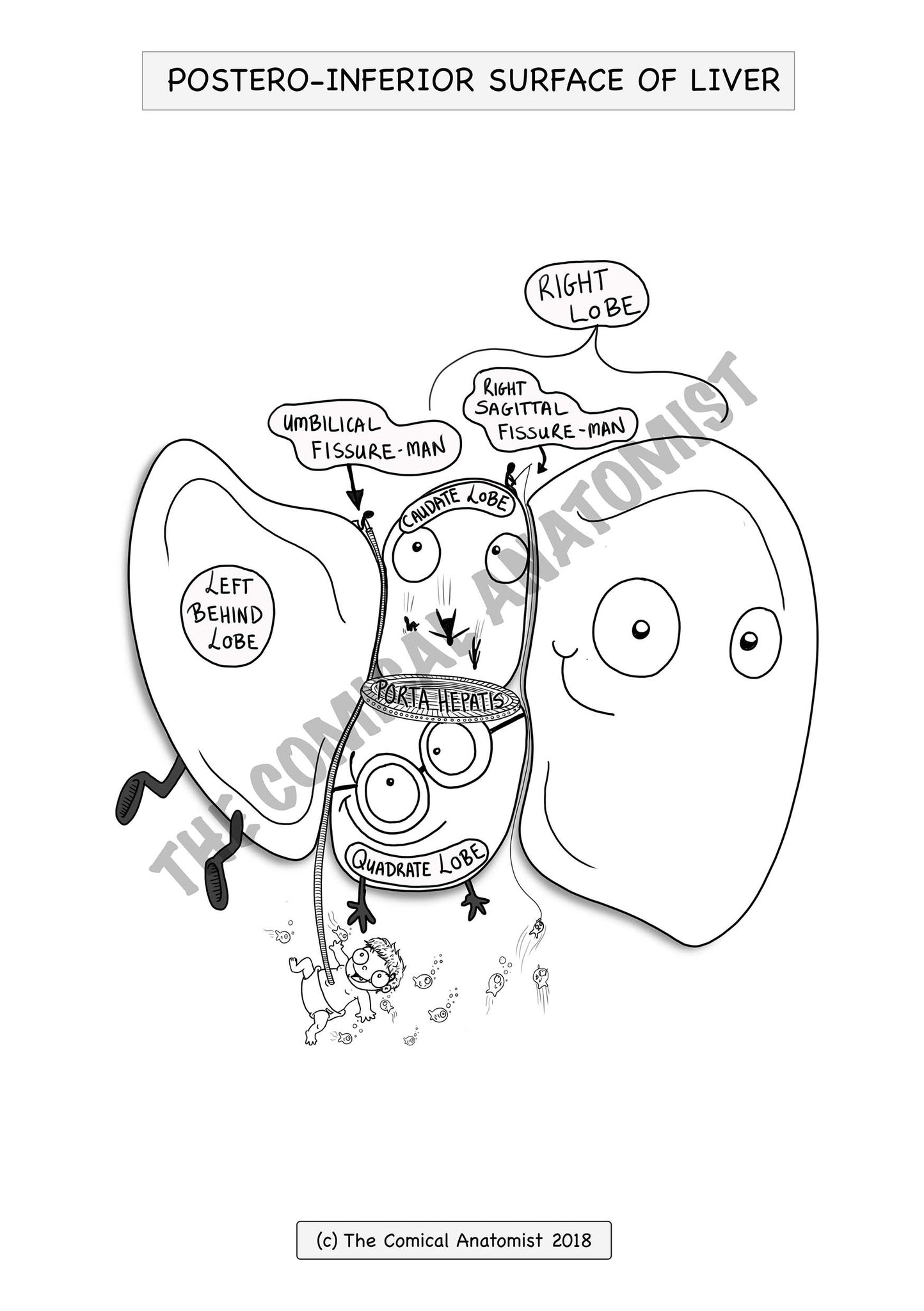 Digestive System Coloring Book (Digital Download) | The Comical ...